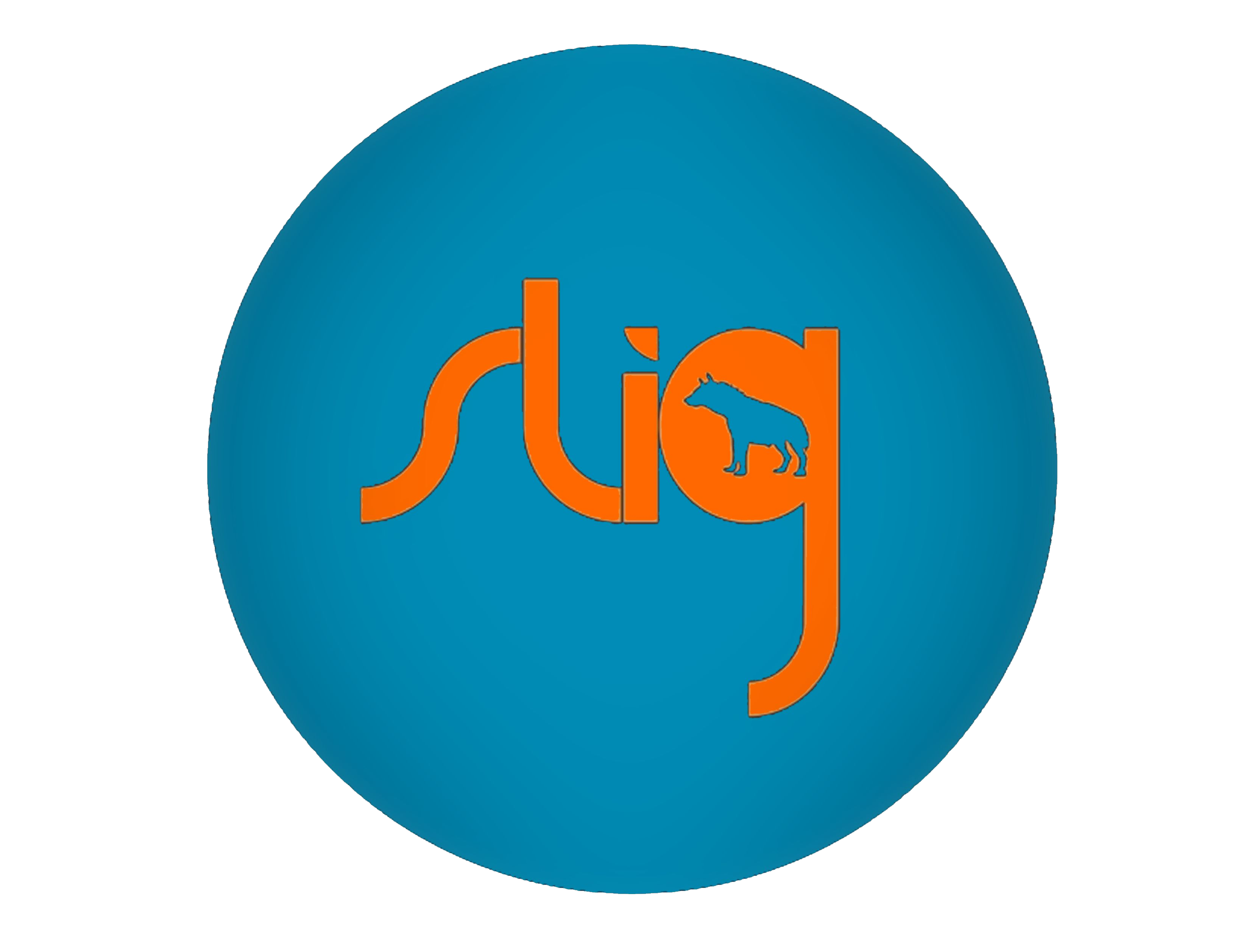 News/Blog – Slig